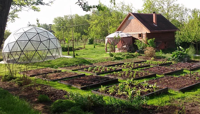Geodesic Glass Dome | Glass Geodesic Dome House | Biodomes